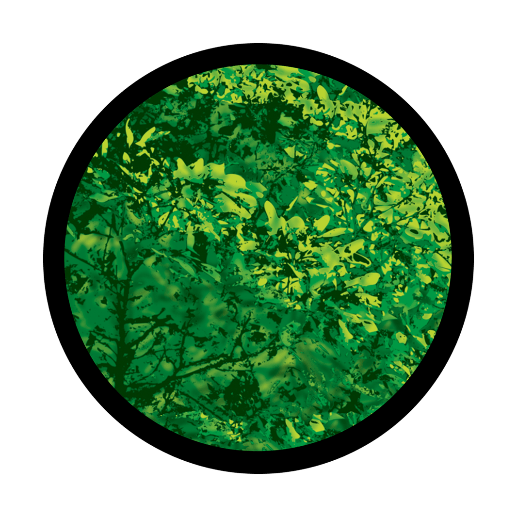 ColourScenic® Glass Gobos