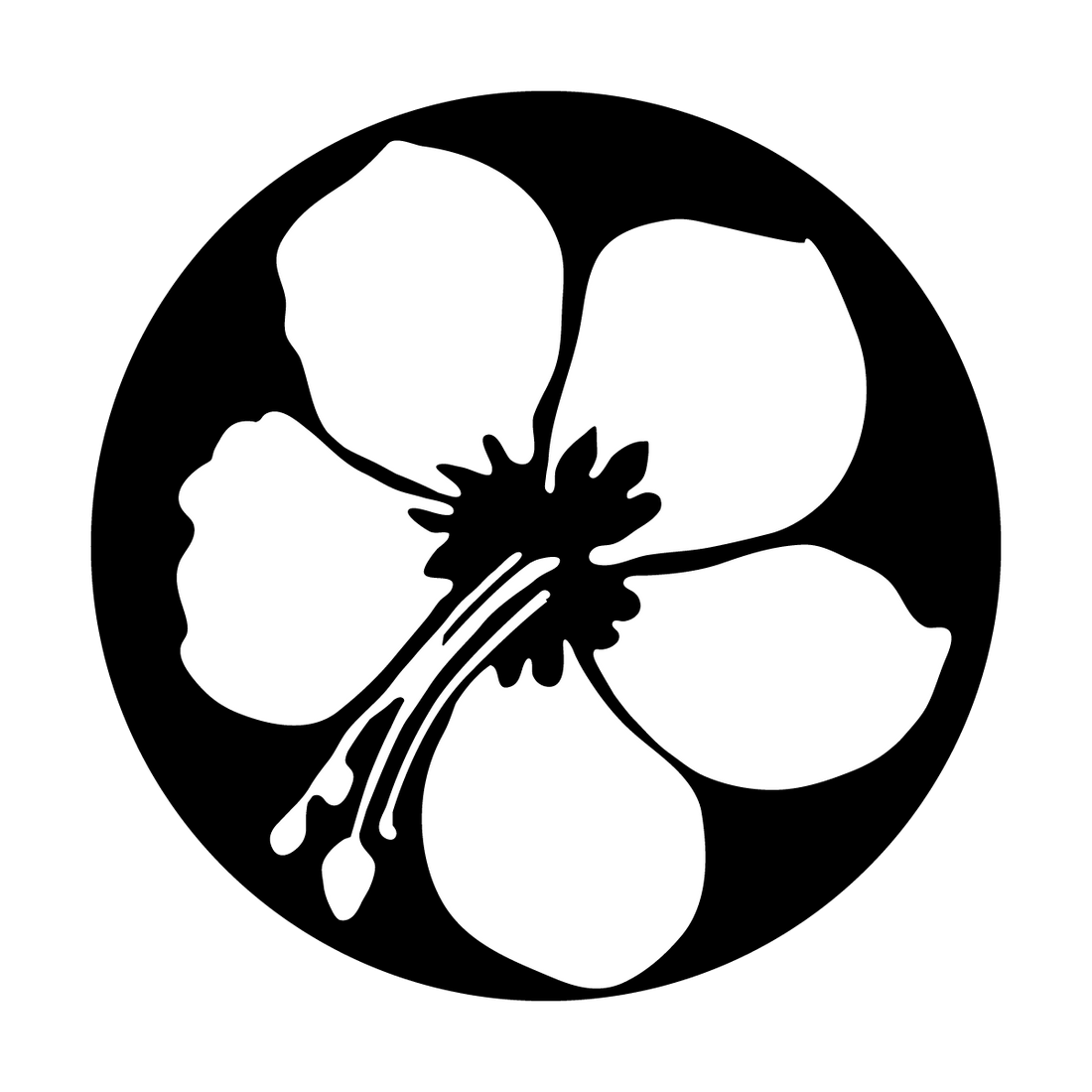 Metal Gobo | Hibiscus Flower