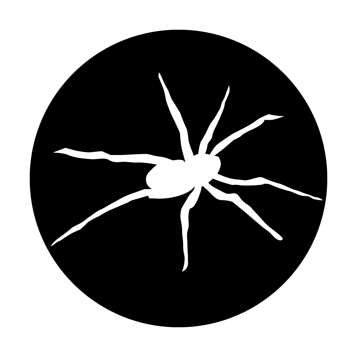 Metal Gobo | Spider 2