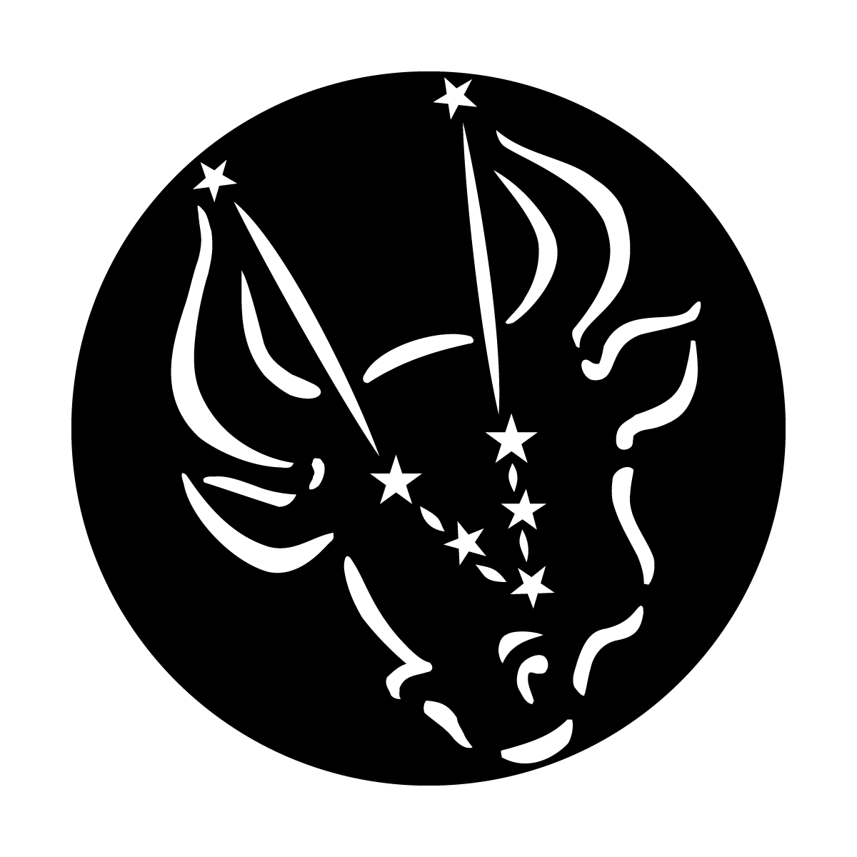 Metal Gobo | A Constellations Taurus the Bull