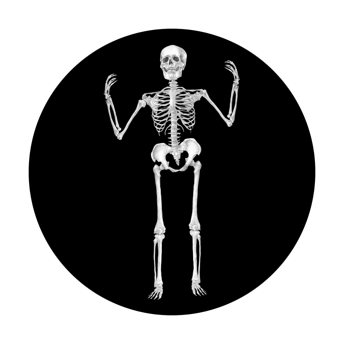B&W Gobo | Skeleton – Apollo MFG