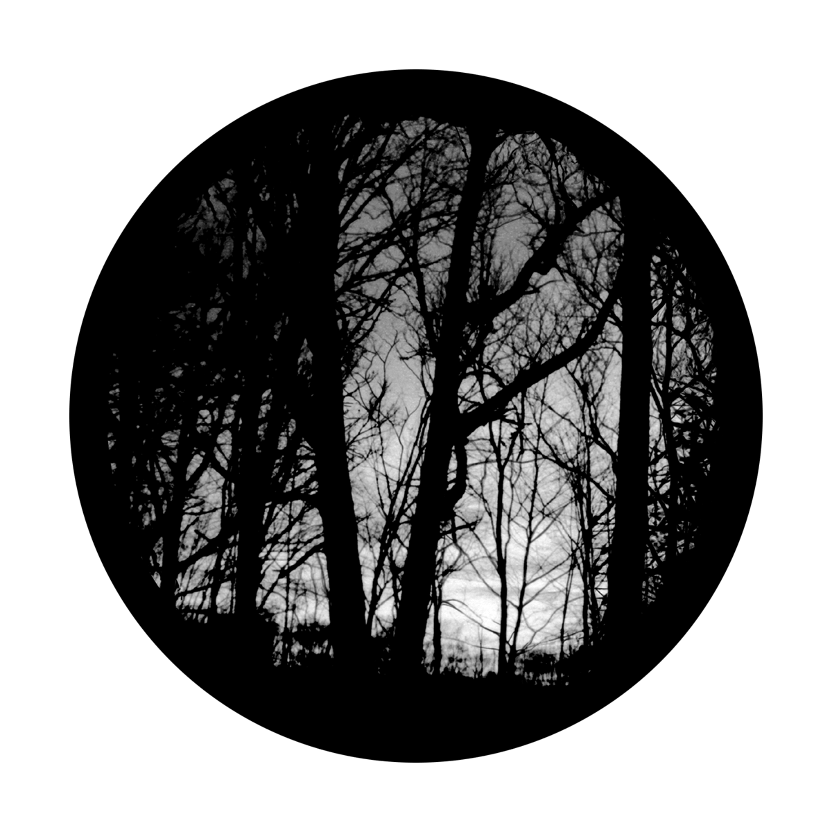 B&W Gobo | Eerie Forest
