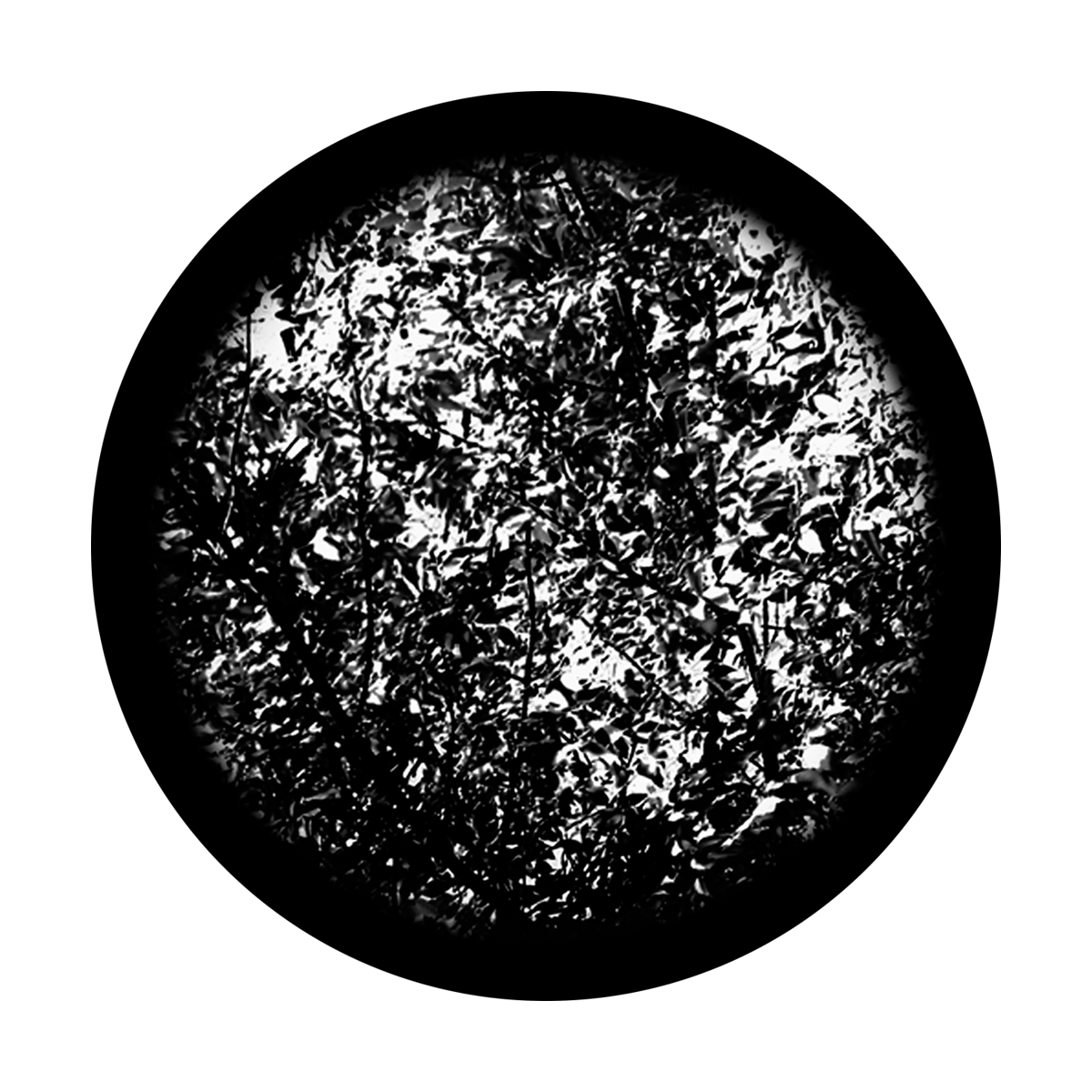 B&W Gobo | Leaves 3 – Apollo MFG