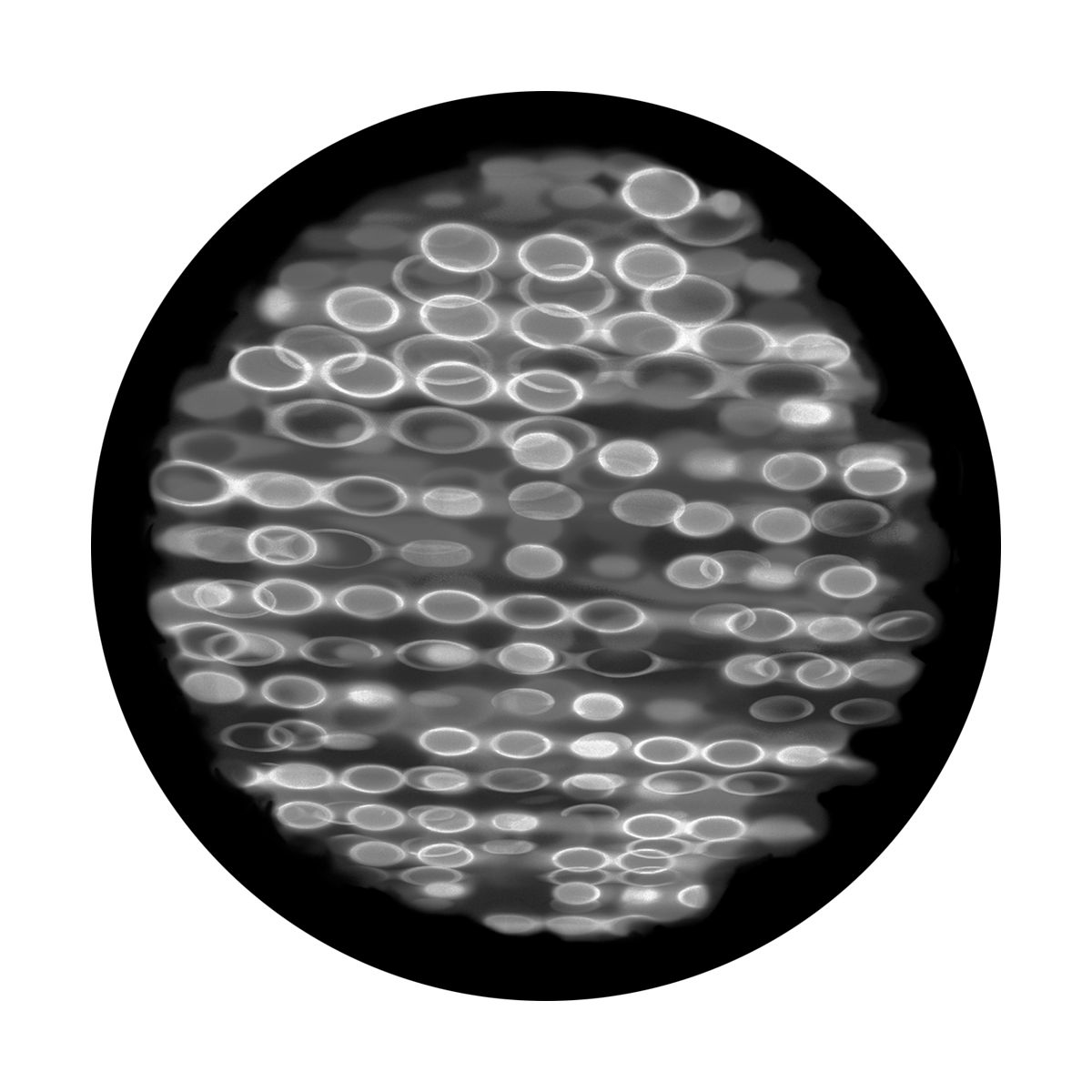 B&W Gobo | Tiddly Winks